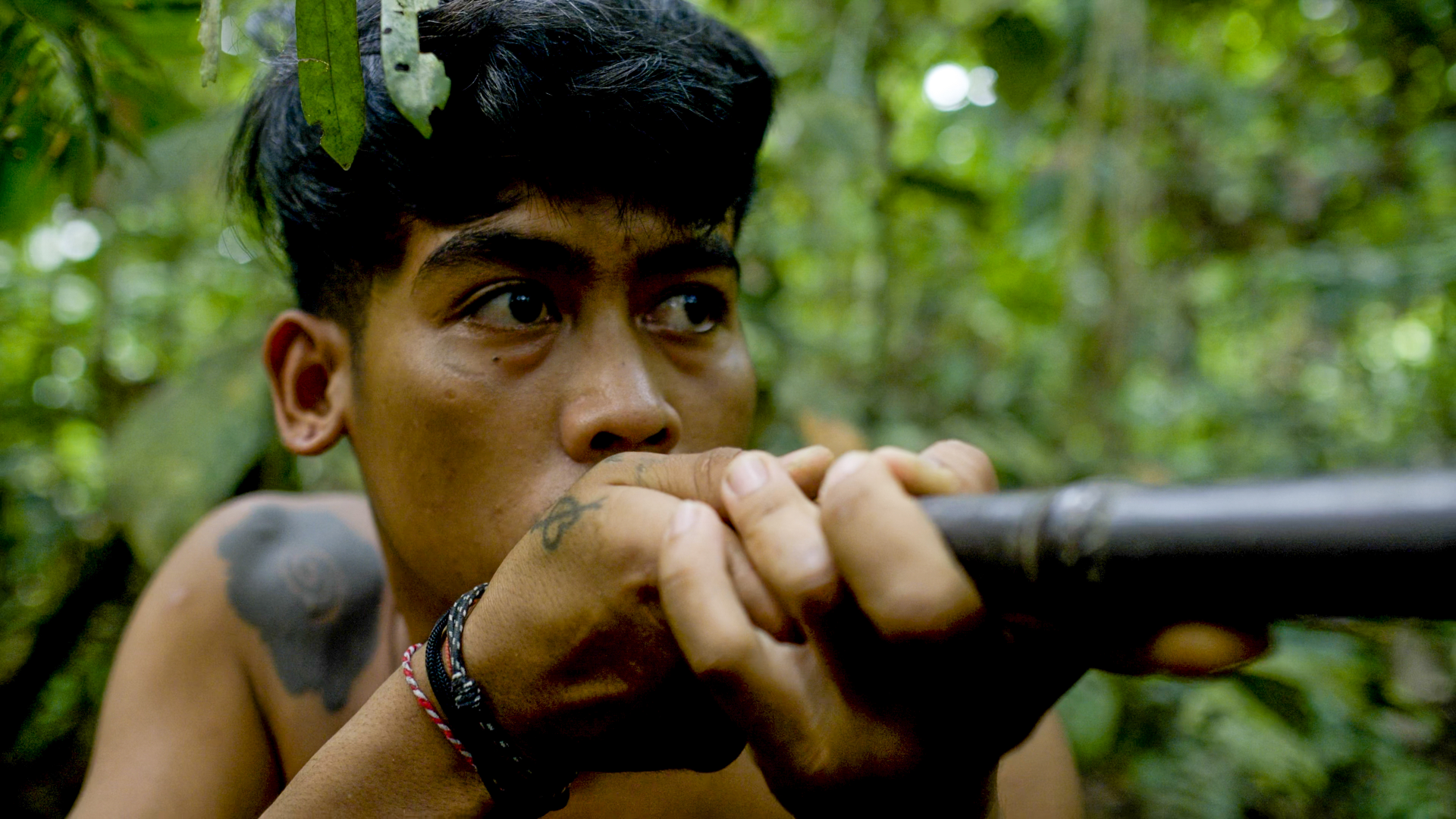 Wayfinders Circle Films Earn Awards and Expand Global Awareness of ...